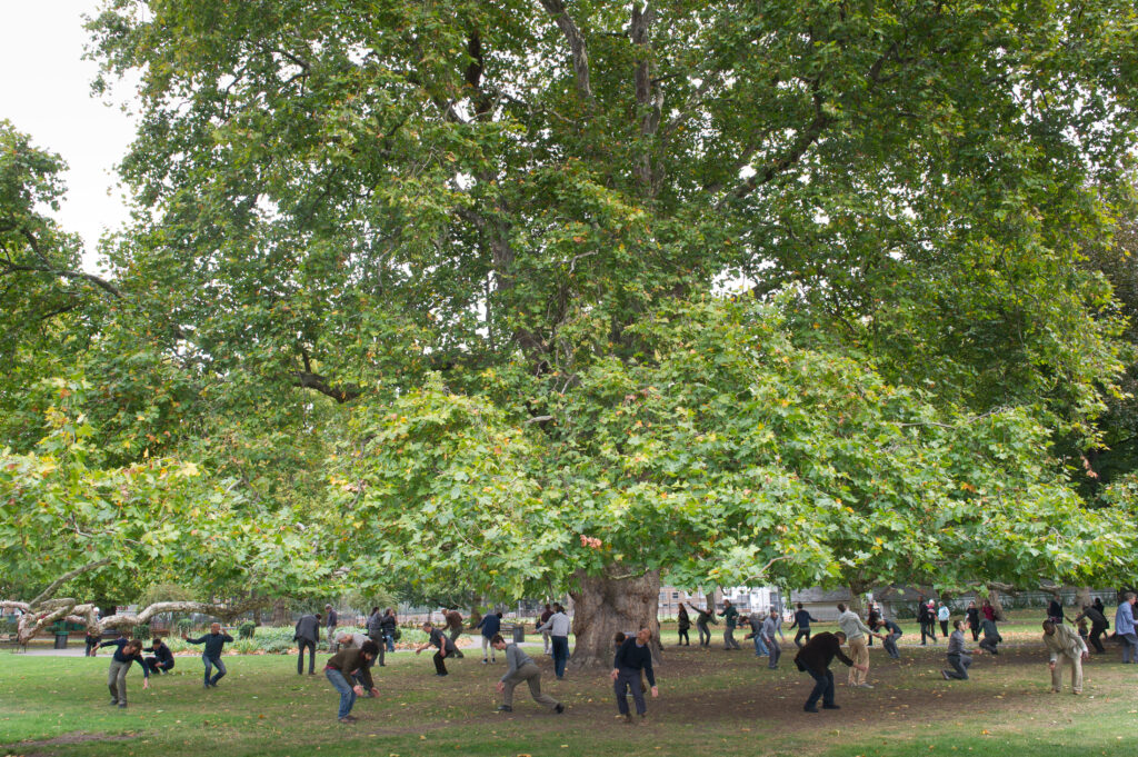 Artist: Rosemary Lee - Coastal Currents 2025