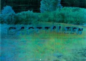 Artist: Maslen and Mehra - Coastal Currents 2025