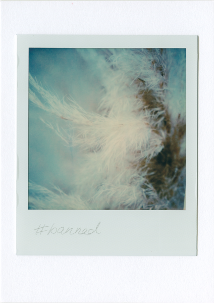 Artist: Sam King - Coastal Currents 2024